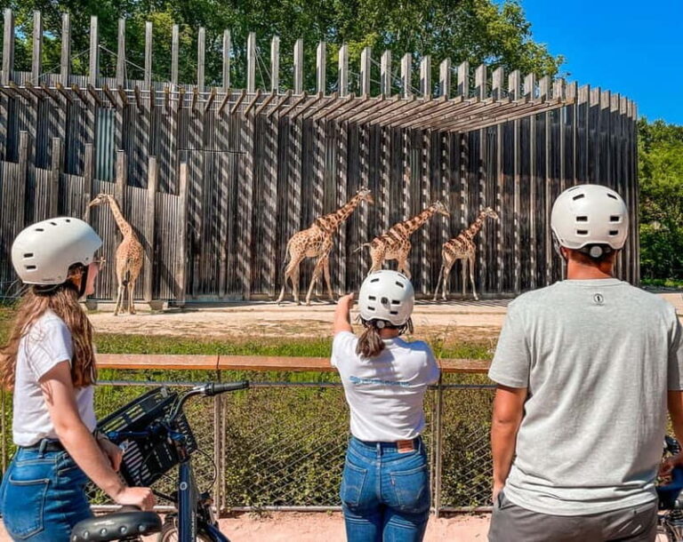 Lyon: Parc Tête d'Or Guided Bike Tour - Detailed Breakdown of the Tour Experience