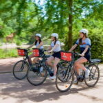 Lyon: Rent an electric bike for half a day - The Itinerary: What You Can Expect