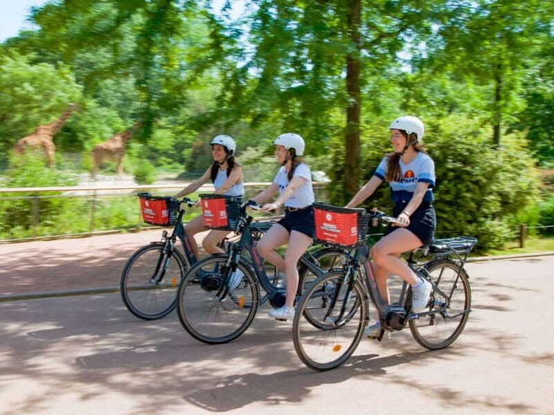 Lyon: Rent an electric bike for half a day - The Itinerary: What You Can Expect