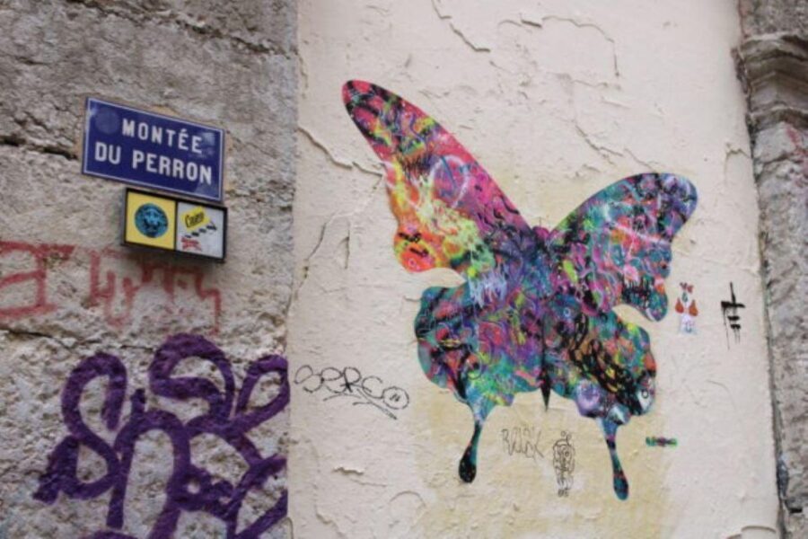 Lyon: Street Art & Street Food Tour - The Street Food Experience: A Flavourful Companiment