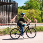 Lyon: The Great Bike Tour - Practical Details and Value