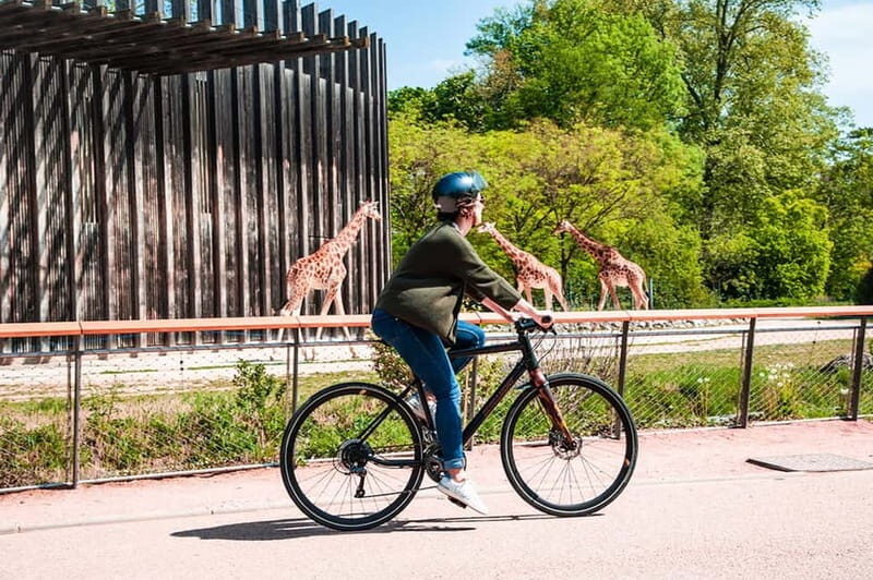 Lyon: The Great Bike Tour - Practical Details and Value