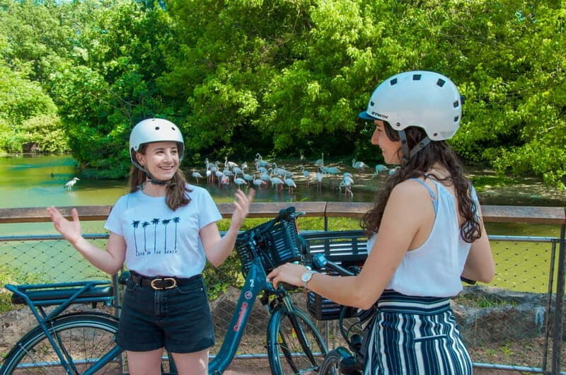 Lyon: The Great ebike Tour - What Makes This Tour Stand Out?