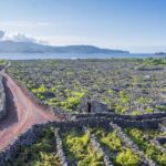 Madalena: Criação Velha Walking Tour - Exploring Historic Mansions and Agricultural Heritage