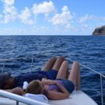 Madeira: 2.5-Hour Whale and Dolphin-Watching Cruise - Itinerary Breakdown: What to Expect