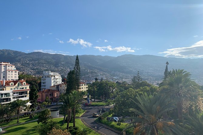 Madeira Airport Private Transfers Service To Funchal - An In-Depth Look at Madeira Airport Private Transfers