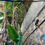 Madeira: Banana Plantation Guided Tour with Tasting - Pricing and Value