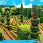 Madeira: Botanical Gardens + Old Town Tuk-Tuk Tour by MadTuk - The Itinerary in Detail
