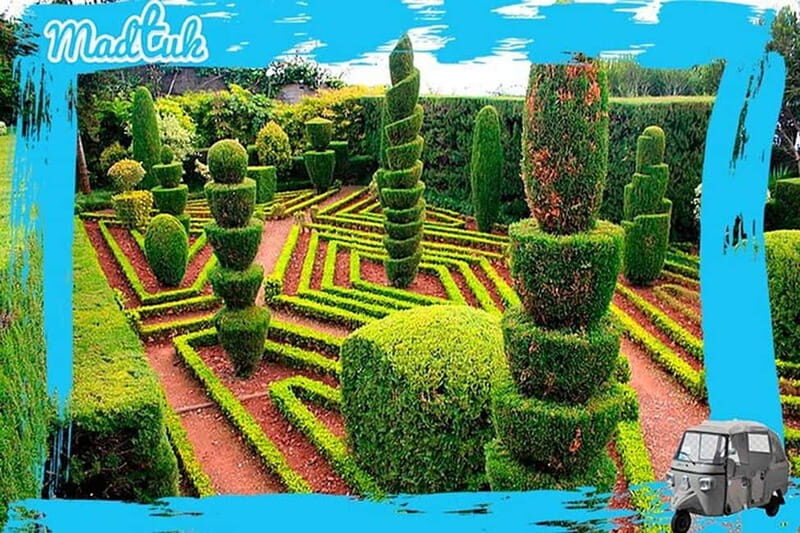 Madeira: Botanical Gardens + Old Town Tuk-Tuk Tour by MadTuk - The Itinerary in Detail
