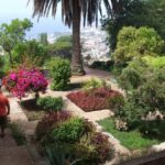 Madeira: Botanical, Monte Palace, and Palheiro Gardens - A Close Look at the Itinerary