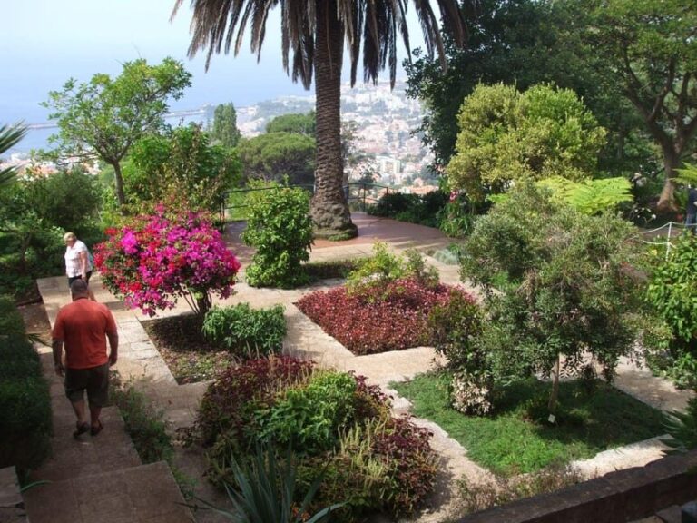 Madeira: Botanical, Monte Palace, and Palheiro Gardens - A Close Look at the Itinerary