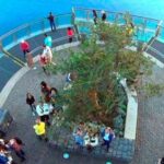 Madeira: Cabo Girao, Jeep Tour Adventure and Wine Tasting - What to Expect: The Real Experience