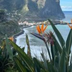 Madeira: Cliff Hanger Vereda Larano Hike Machico - The Nature of the Hike and Its Highlights