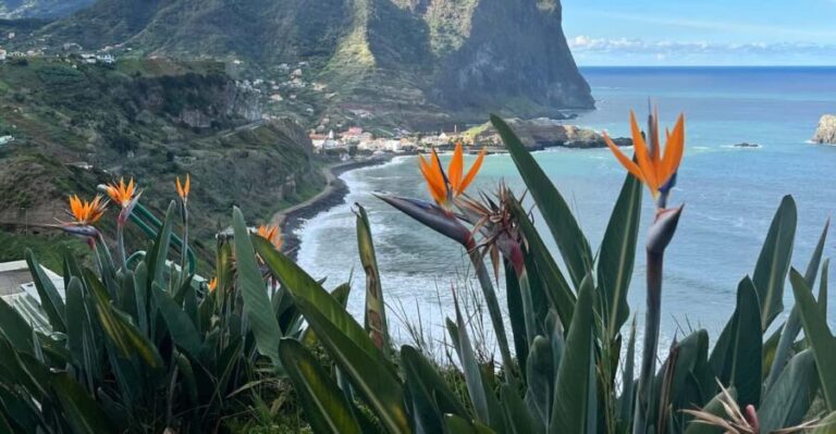 Madeira: Cliff Hanger Vereda Larano Hike Machico - The Nature of the Hike and Its Highlights