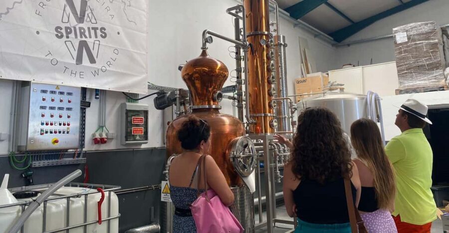 Madeira: Distilleries - Who Should Consider This Tour?