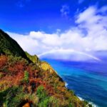Madeira E-Buggy Adventure: 4x4 thrill & epic views! Book now - What Youll Love About This Tour