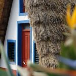 Madeira East Island Special & Levada Walking Tour with Meal and Drinks - Transportation and Group Size