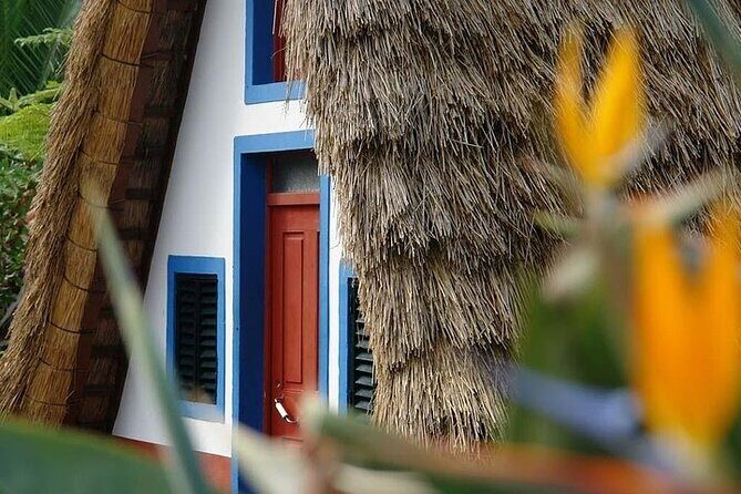 Madeira East Island Special & Levada Walking Tour with Meal and Drinks - Transportation and Group Size