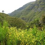 Madeira: Enjoy a Guided Levada Walk in the Rabaçal Valley - The Experience: A Well-Organized and Rewarding Day