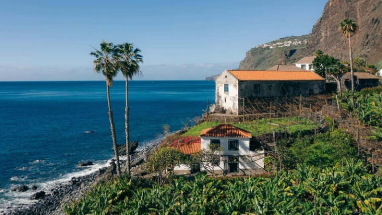 Madeira: Fajã dos Padres, Cabo Girão and Câmara de Lobos - The Value of the Experience
