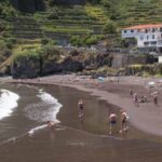 Madeira: Fanal and Seixal Beach Guided Tour - Conclusions: Who Should Consider This Tour?