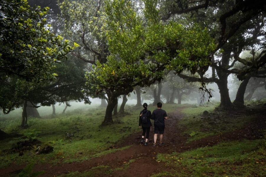 Madeira : Full Day Adult-only west 4x4 Tour - The Experience: What to Expect
