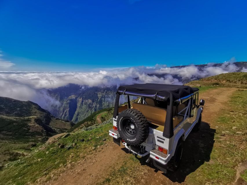 Madeira: Full-Day Jeep Tour, Natural Pools, Seixal & Fanal - Who Should Book This Tour?