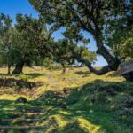 Madeira: Full-Day Porto Moniz Jeep Tour - Who Will Love This Tour?