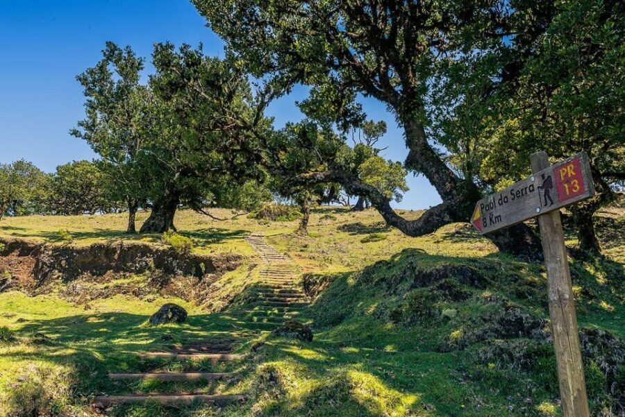 Madeira: Full-Day Porto Moniz Jeep Tour - Who Will Love This Tour?