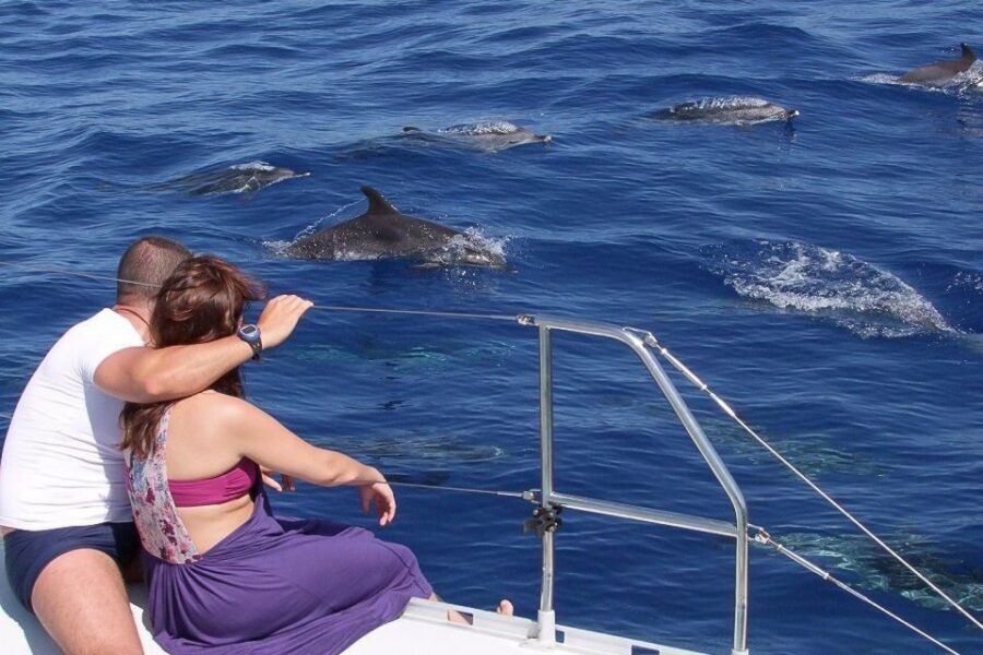 Madeira: Funchal Sunset Tour by Catamaran - Practical Tips for Making the Most of Your Trip
