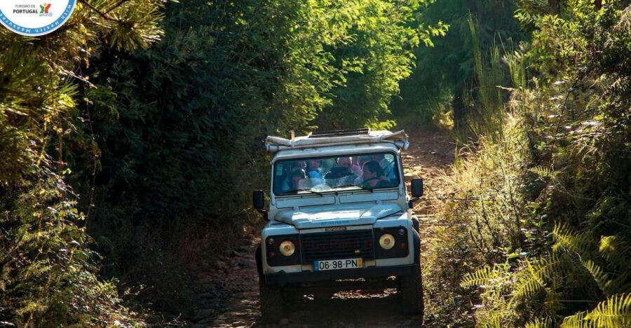 Madeira: Half-Day Nun's Valley and Sea Cliff Tour - Exploring the Itinerary in Detail