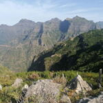 Madeira: Half-Day Off-Road Buggy Tour - Why This Tour Works