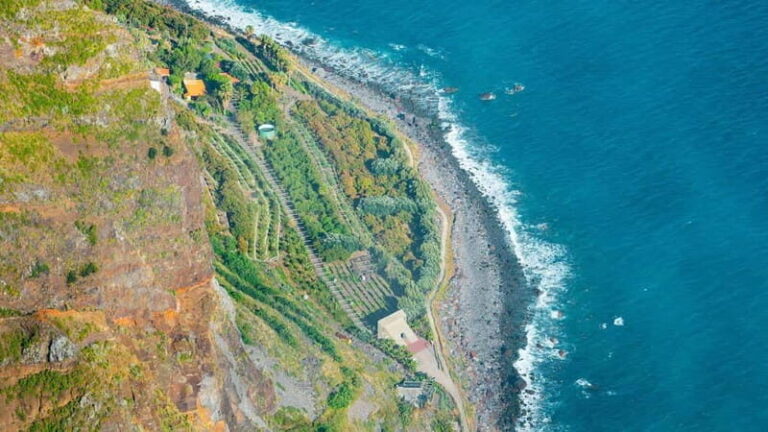 Madeira: Highest Cliff in Europe & Visit to a Winery - Exploring Cabo Girão: A View Like No Other