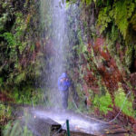 MADEIRA ISLAND WALK - HIDDEN CORNERS KINGS LEVADA - Authenticity and Smaller Details