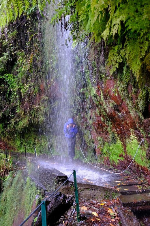 MADEIRA ISLAND WALK - HIDDEN CORNERS KINGS LEVADA - Authenticity and Smaller Details
