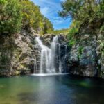 MADEIRA ISLAND WALK - LAKES OF MADEIRA , LEVADA DO ALECRIM - Who Will Love This Experience?