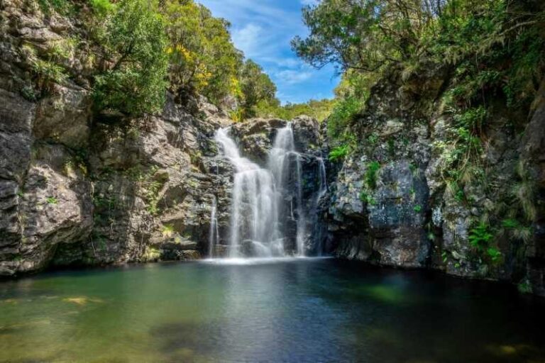 MADEIRA ISLAND WALK - LAKES OF MADEIRA , LEVADA DO ALECRIM - Who Will Love This Experience?