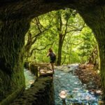 Madeira: Jungle Fever Levada Caldeirao Verde Hike Santana - Cultural Stops and Local Flavors