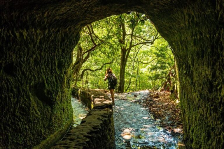 Madeira: Jungle Fever Levada Caldeirao Verde Hike Santana - Cultural Stops and Local Flavors