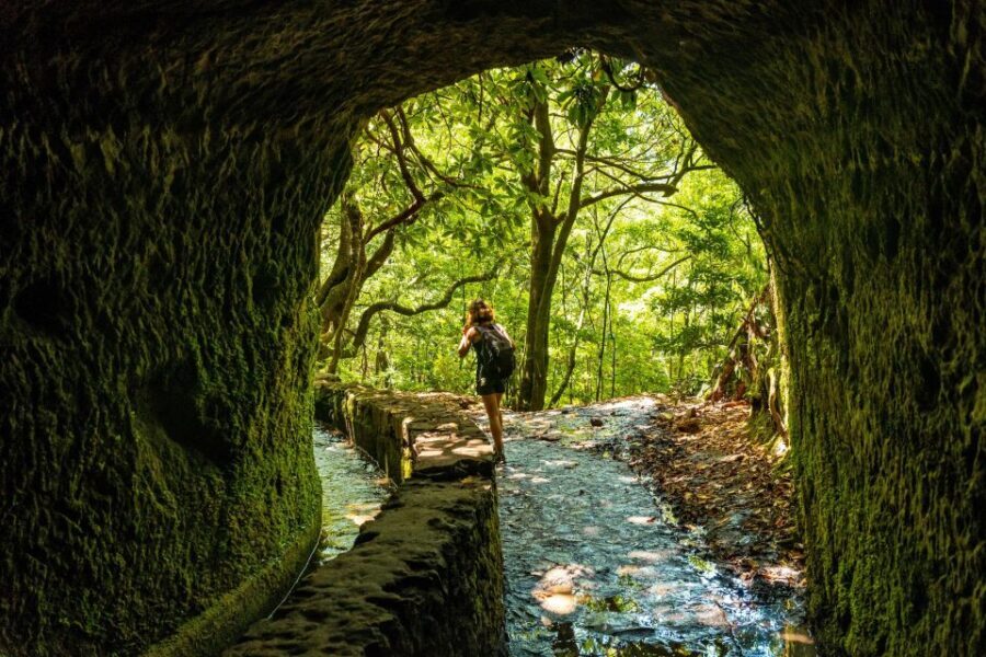 Madeira: Jungle Fever Levada Caldeirao Verde Hike Santana - Cultural Stops and Local Flavors