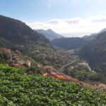 Madeira: Levada dos Maroços Hike - Why this Tour Offers Great Value
