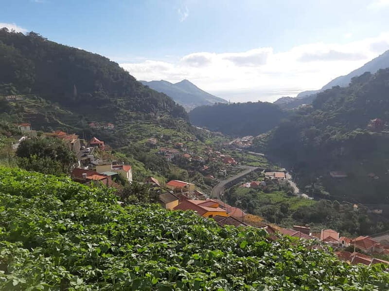 Madeira: Levada dos Maroços Hike - Why this Tour Offers Great Value