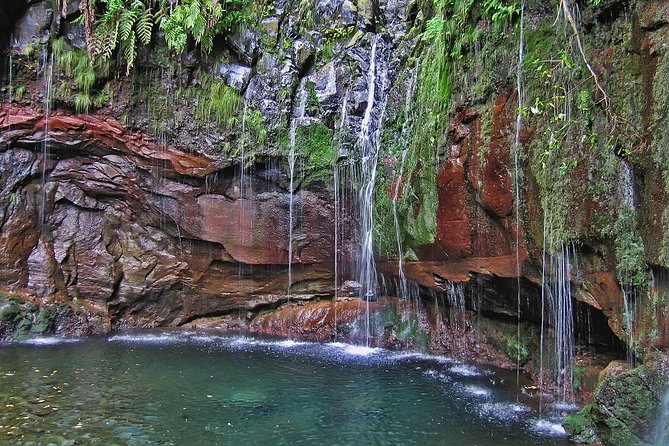 Madeira Levada Walk - Rabacal Lakes and Fountains - Making Sense of Madeira Levada Walk - Rabacal Lakes and Fountains