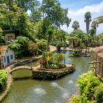 Madeira: Monte Tropical Gardens + Old Town Tuk Tuk by MadTuk - Is This Tour Worth the Investment?