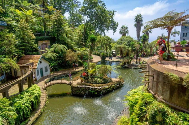 Madeira: Monte Tropical Gardens + Old Town Tuk Tuk by MadTuk - Is This Tour Worth the Investment?