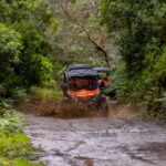 Madeira: OFF-ROAD BUGGY ADVENTURE TO FUNDURAS - Detailed Breakdown of the Itinerary
