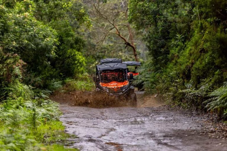 Madeira: OFF-ROAD BUGGY ADVENTURE TO FUNDURAS - Detailed Breakdown of the Itinerary