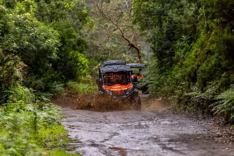 Madeira: OFF-ROAD BUGGY ADVENTURE TO FUNDURAS - Detailed Breakdown of the Itinerary