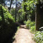 Madeira: Paradise Valley Levada Walk - What Real Travelers Say