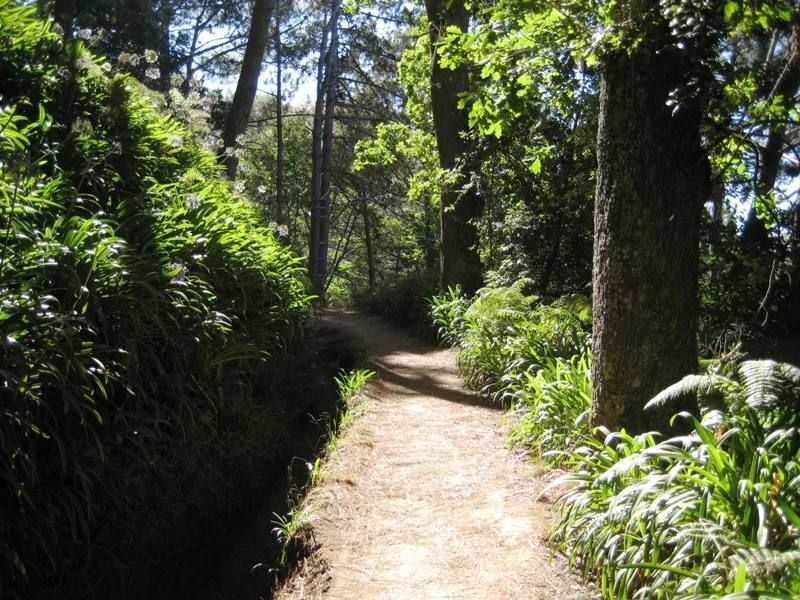 Madeira: Paradise Valley Levada Walk - What Real Travelers Say